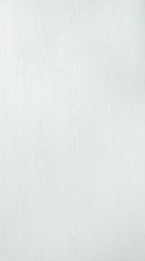 Winter Fun! | Tafisa